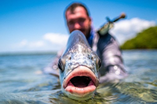 20 Tips for Flats Fishing - MidCurrent Travel