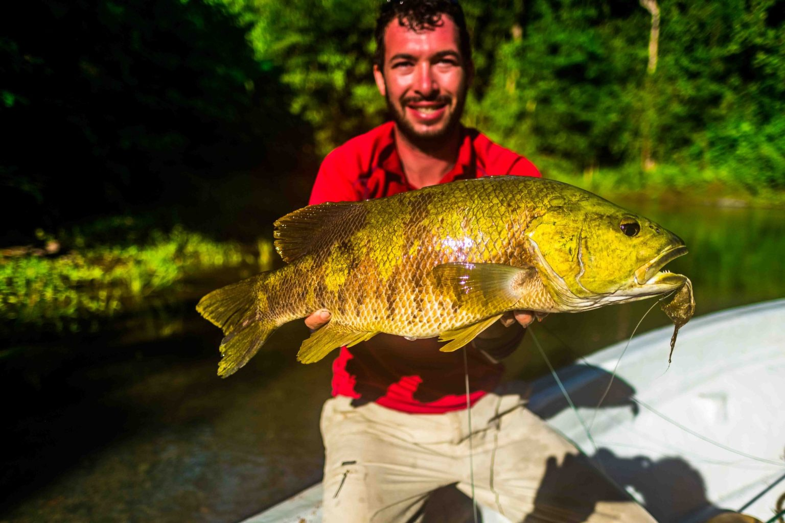 Top Five saltwater fish that should be on your radar for 2020 ...