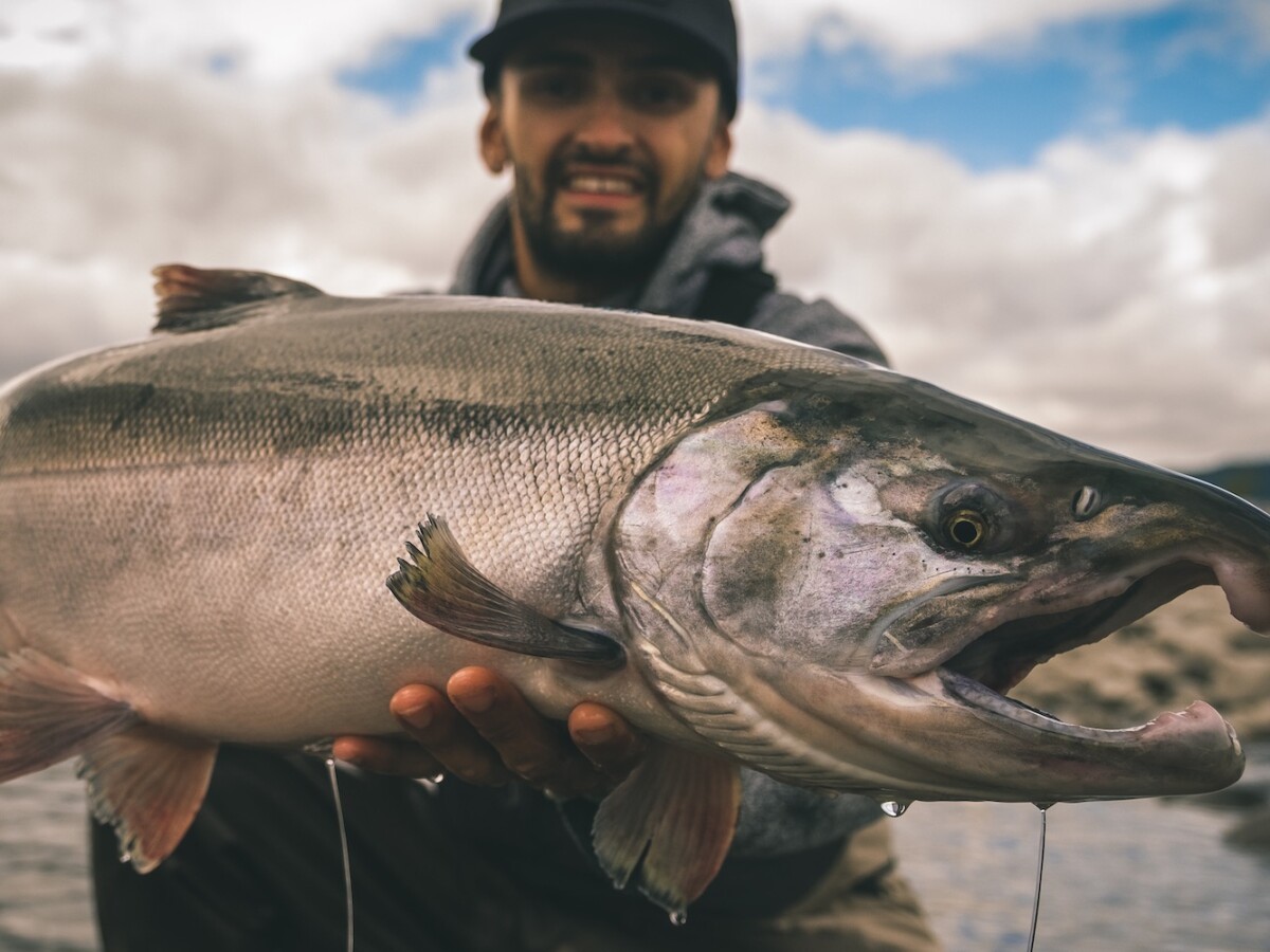 Grosvenor Lodge - MidCurrent Travel