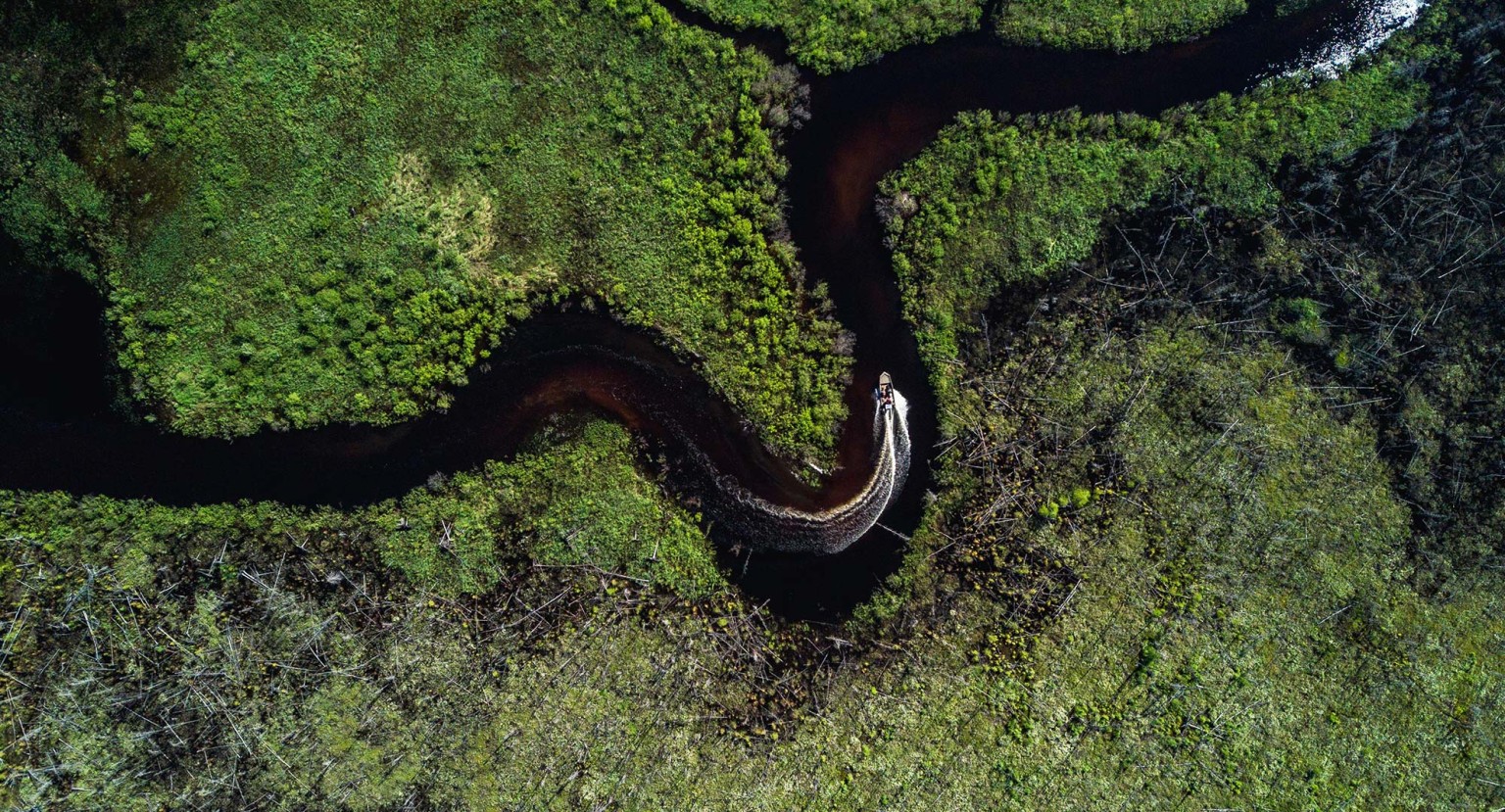 Cree River Lodge - MidCurrent Travel