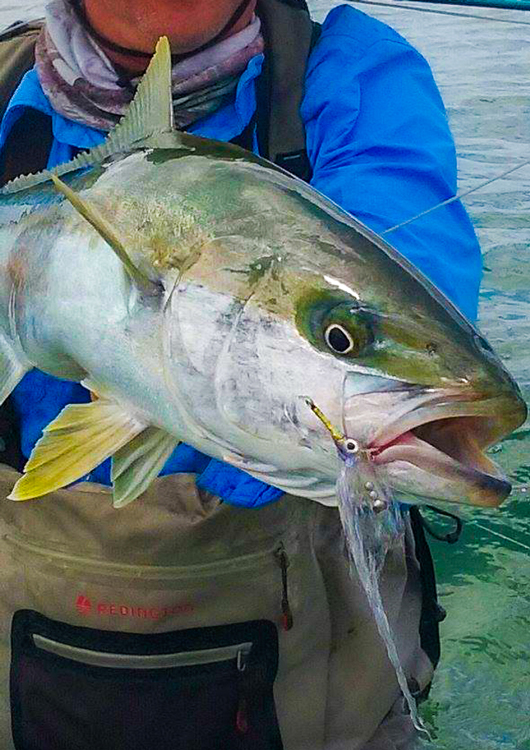 Top Five saltwater fish that should be on your radar for 2020 ...