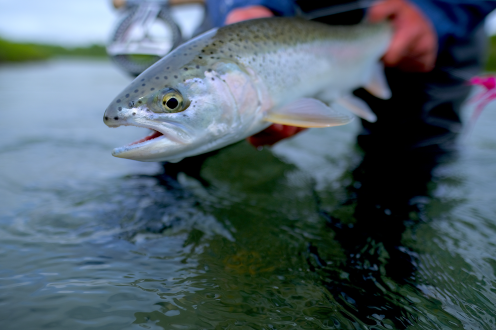 The Alaska Rainbow Experience - MidCurrent Travel