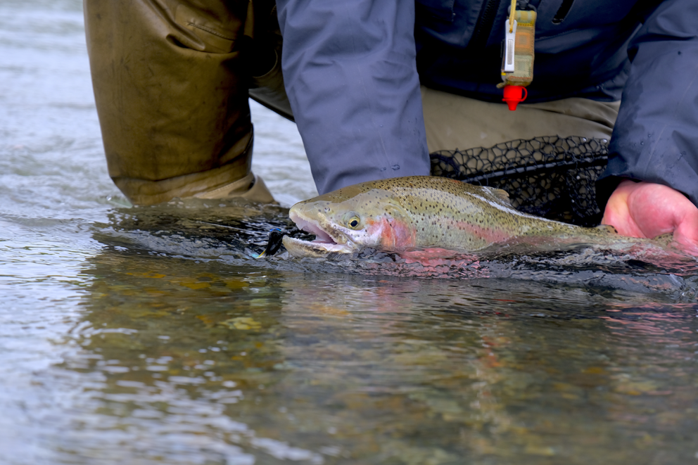The Alaska Rainbow Experience - MidCurrent Travel