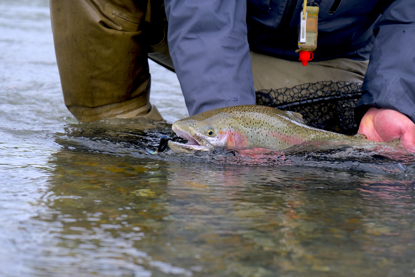 The Alaska Rainbow Experience - MidCurrent Travel