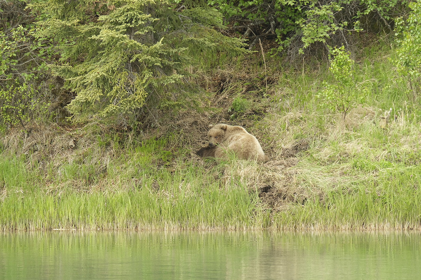 The Alaska Rainbow Experience - MidCurrent Travel